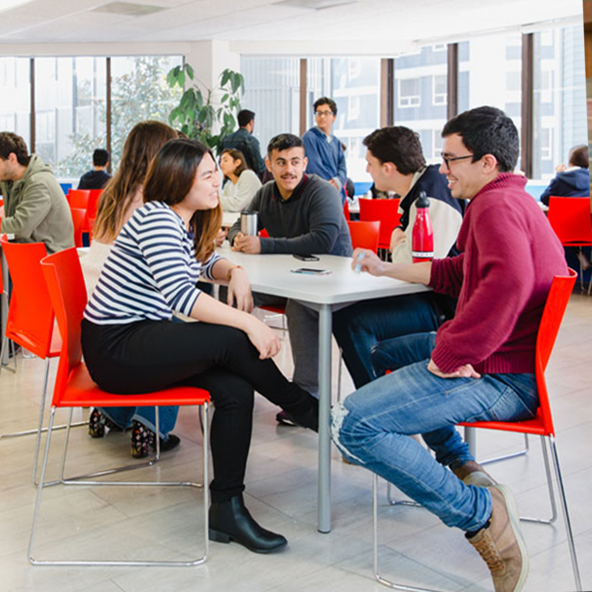 Greetings from LSI! – blog.lsi.edu